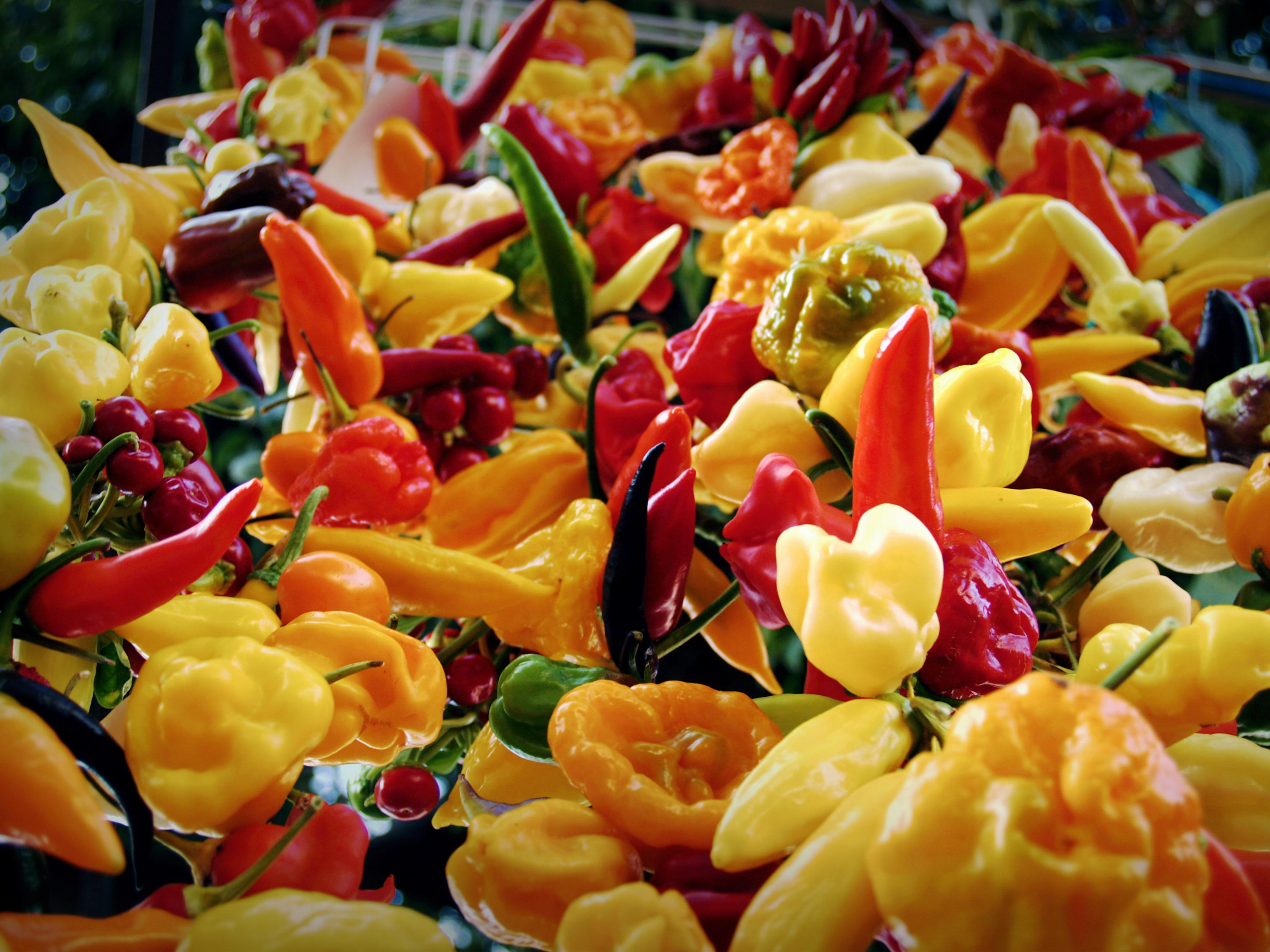 Peppers – Tiger Produce