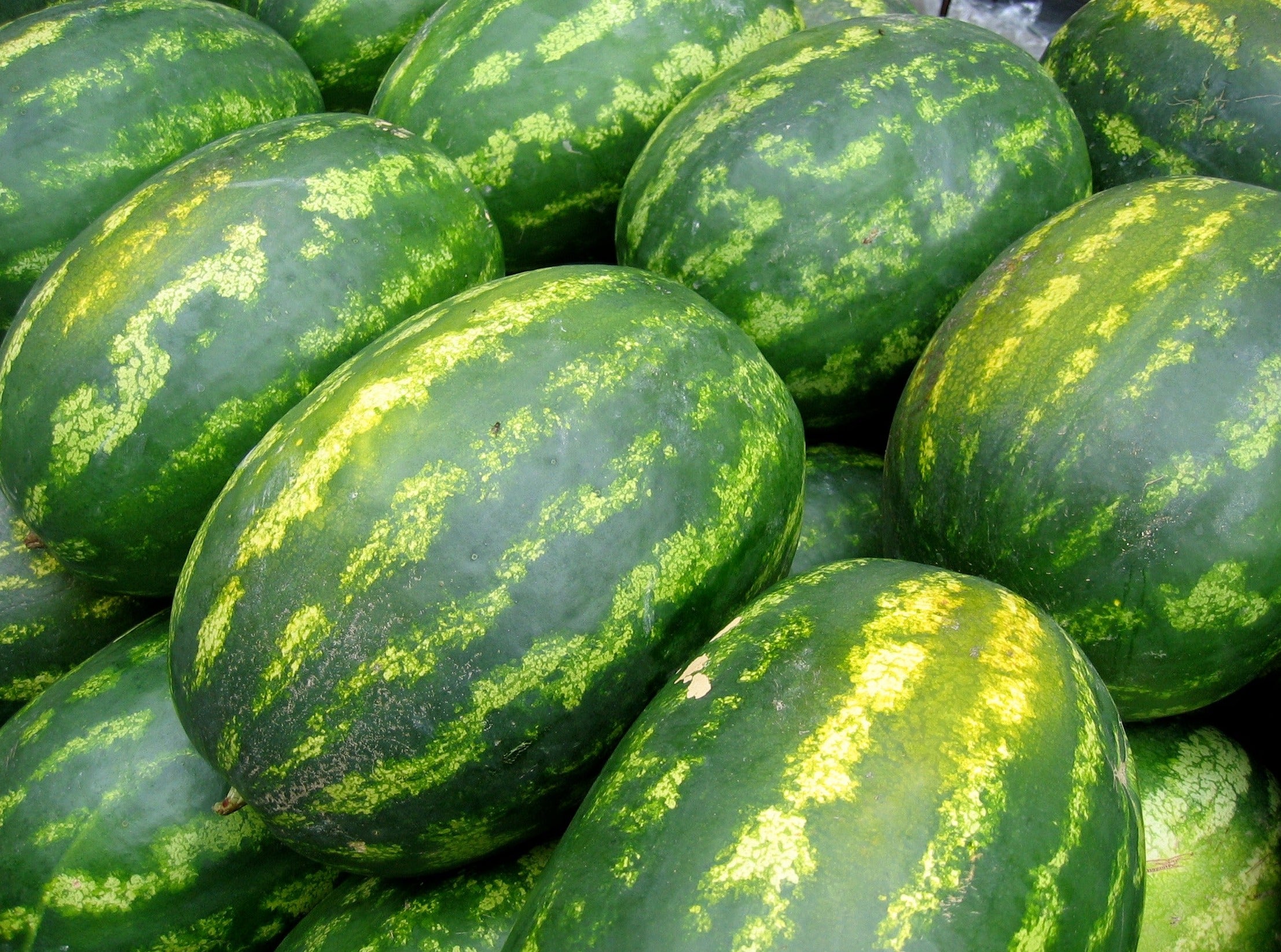 Watermelon (large) – Tiger Produce